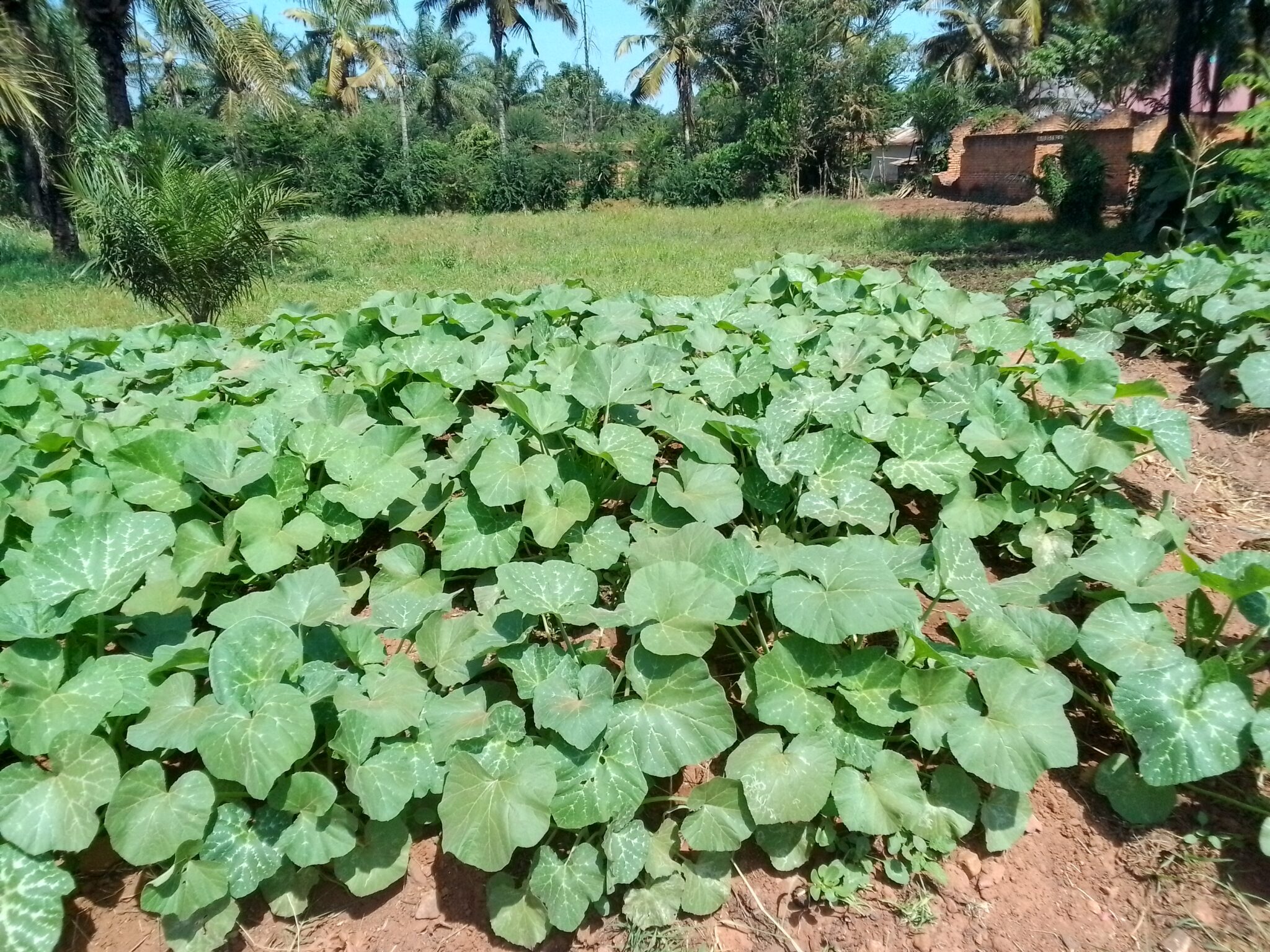 Online course: Using ethical images in the WASH sector - Sanitation ...